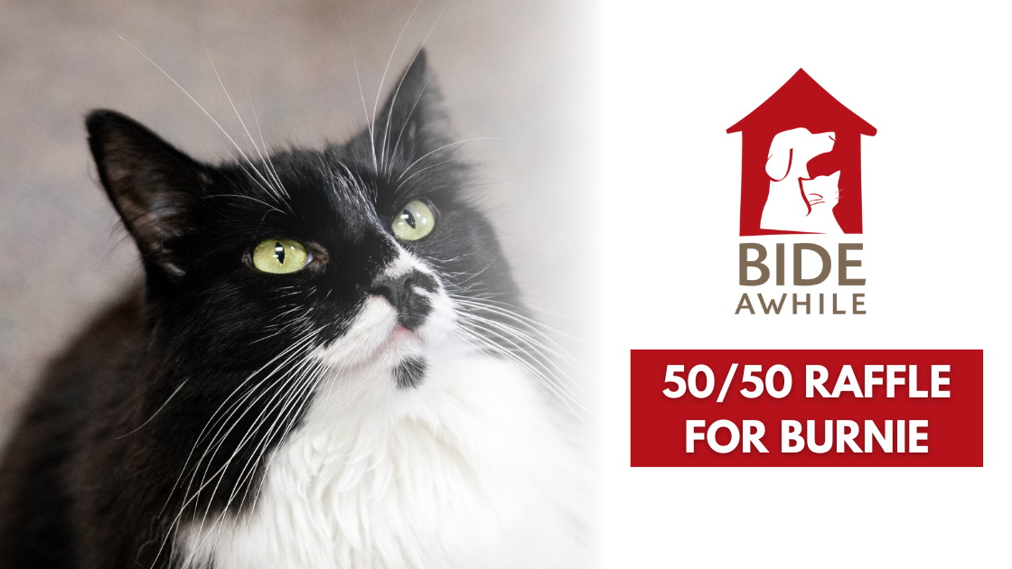 Bide Awhile's 50/50 Raffle - September 2025 | Rafflebox