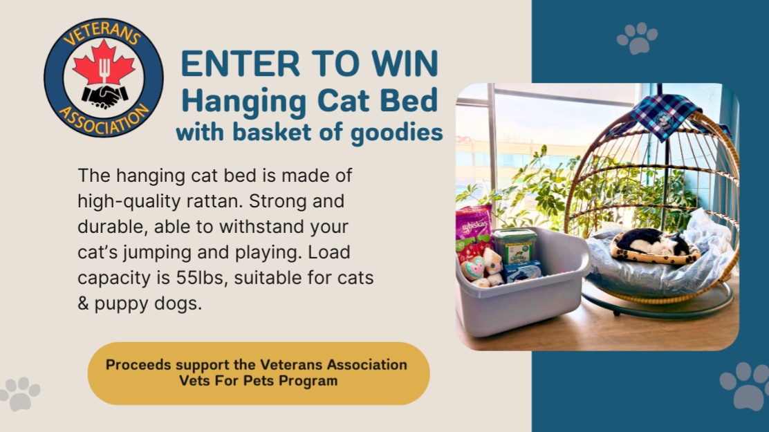 Vets for Pets - Hanging Cat Bed | Rafflebox
