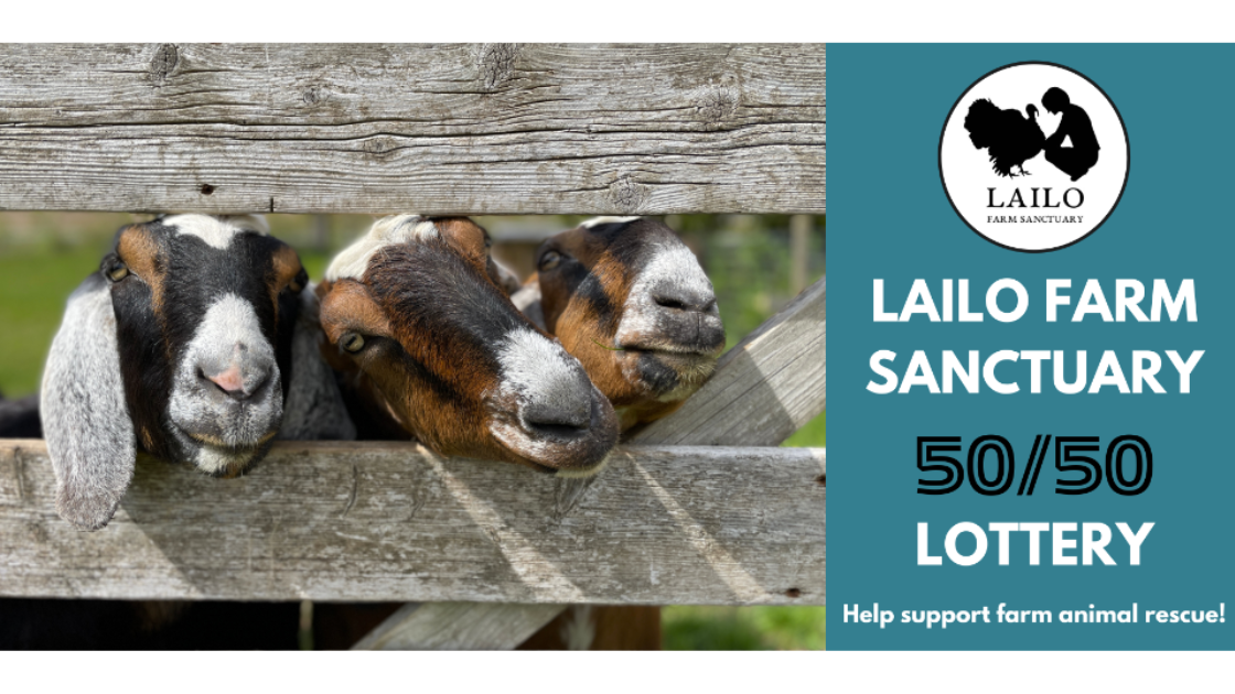 LAILO Farm Sanctuary 50/50 Fundraiser! | Rafflebox