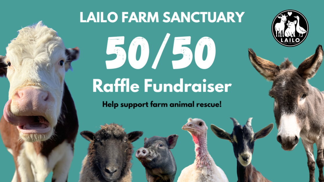 LAILO Farm Sanctuary 50/50 Fundraiser.