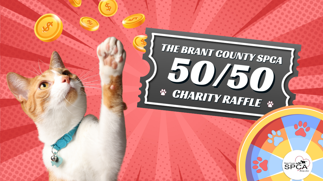 Brant County SPCA 50/50 Fundraiser | Rafflebox