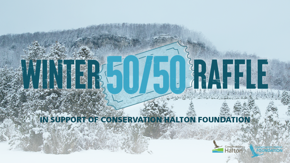 Conservation Halton Foundation Winter 50/50 Raffle